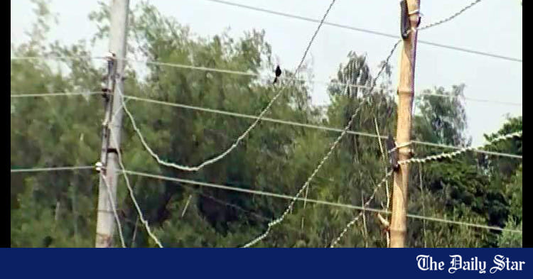 Naked, unsafe power lines pose danger | The Daily Star