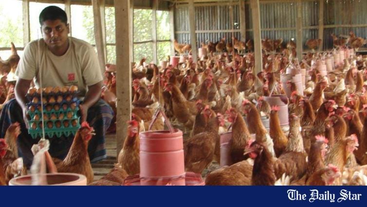 Poultry farming changes life of a vendor | The Daily Star