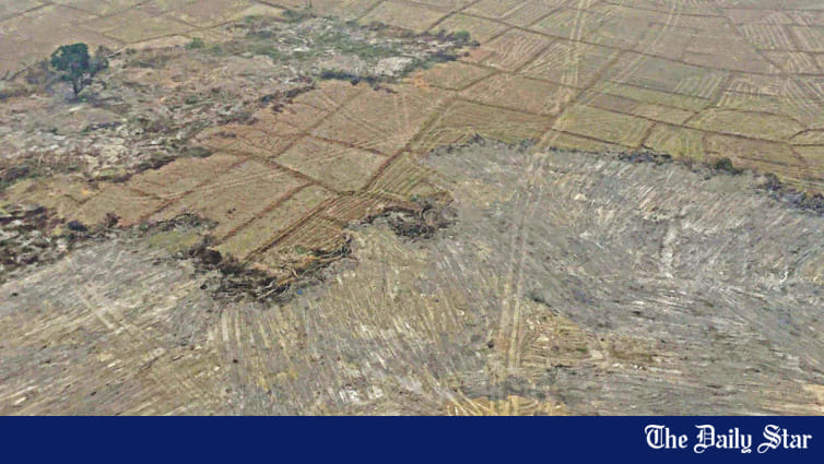 Myanmar wiping out Rohingya homes, history | The Daily Star