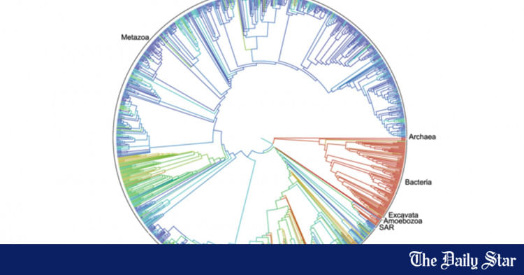 Scientists create the first ‘tree of life’ | The Daily Star