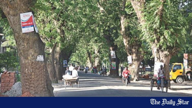 ‘Govt sees if Jessore Road trees could be spared’ | The Daily Star