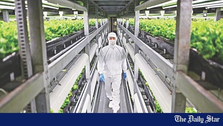 Vertical farming takes off in ageing Japan | The Daily Star