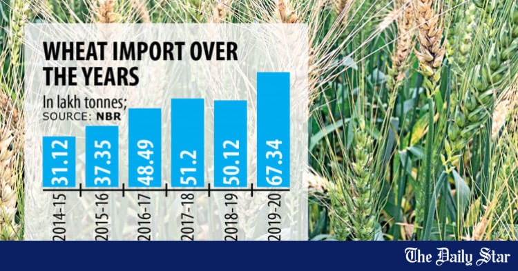 Wheat imports rise 116pc in six years | The Daily Star