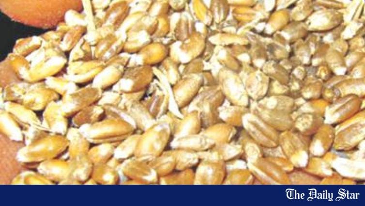 Poor quality wheat brought again | The Daily Star