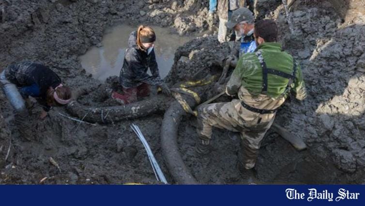 [WATCH NOW] Mammoth discovery in Michigan | The Daily Star