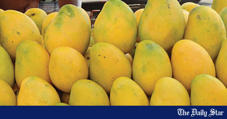 Mango prices plummet due to oversupply | The Daily Star