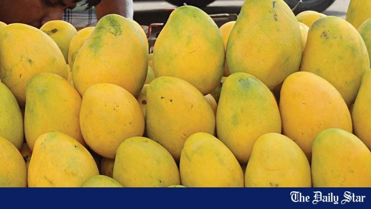 Mango prices plummet due to oversupply | The Daily Star