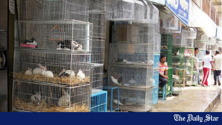 Katabon pet stores to be allowed to open for 4 hours daily | The Daily Star