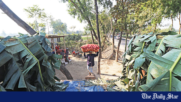 Lockdown leaves scars on vegetable growers | The Daily Star