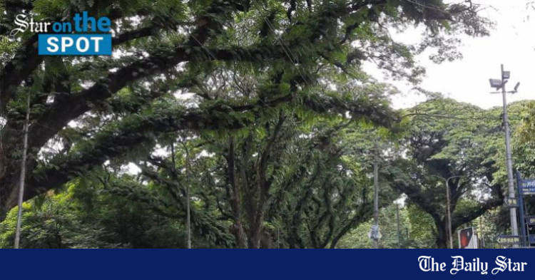 Chattogram CRB facing environmental impact with hospital project | The ...