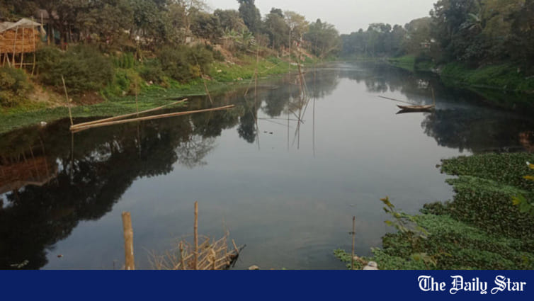 Killing of the Boral River | The Daily Star