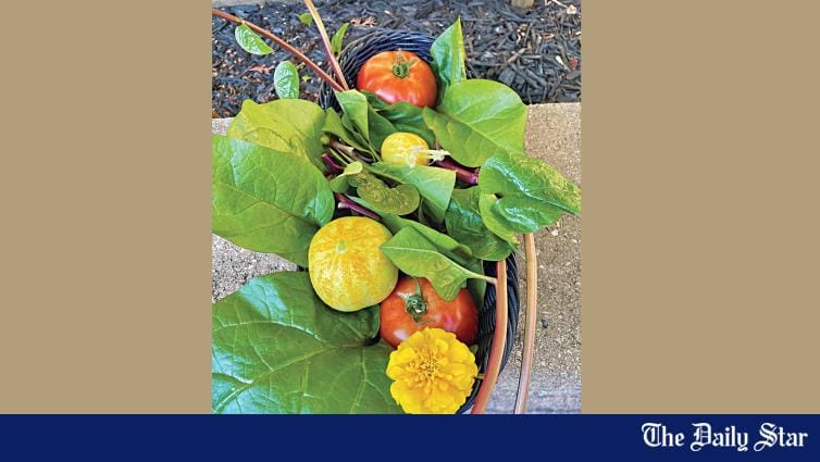 Of plant, plate, and palate | The Daily Star