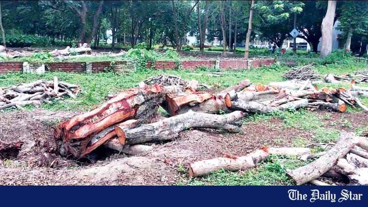 Development the priority, not nature! | The Daily Star