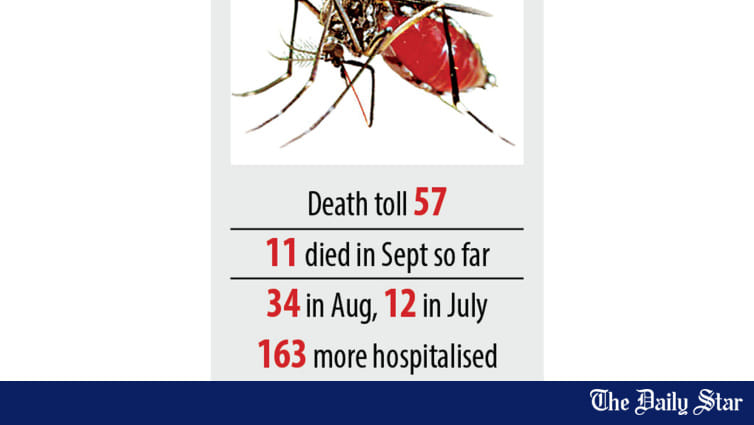 163 more hospitalised with dengue | The Daily Star