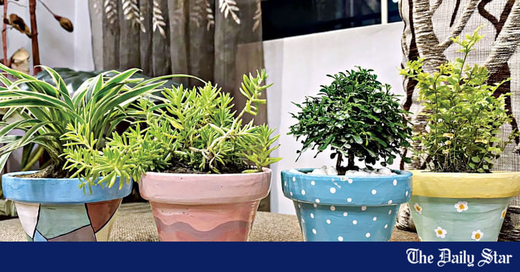 Bloom: Art for plants one pot at a time | The Daily Star