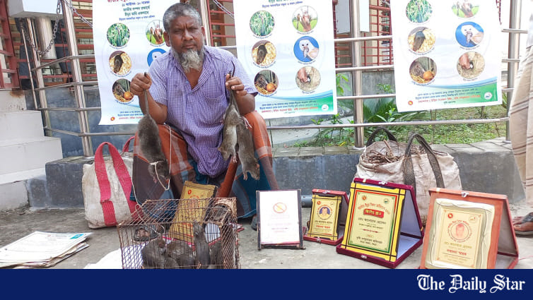 Ridding croplands of rat menace | The Daily Star