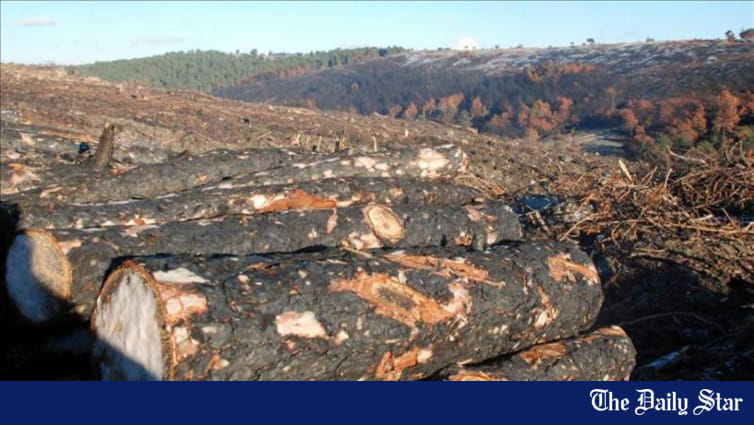 Cuba announces 2021 inflation over 70pc | The Daily Star