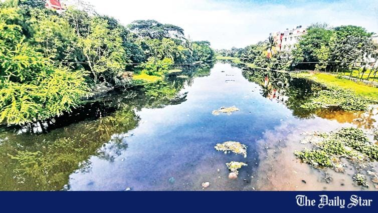 ‘Take urgent steps to save Mayur river’ | The Daily Star