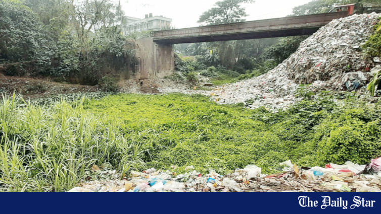 Encroachment, pollution ruin Sundari’s charm | The Daily Star