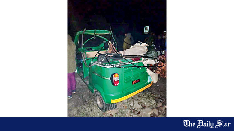 3 students die as truck hits auto-rickshaw | The Daily Star
