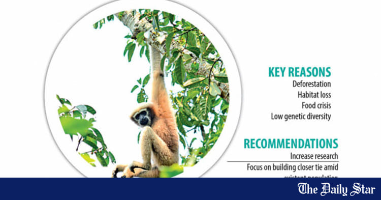 Crisis in the planet of the apes | The Daily Star