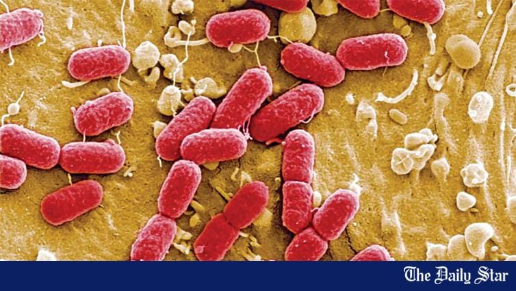 11 major health facilities have no watch over hospital bugs