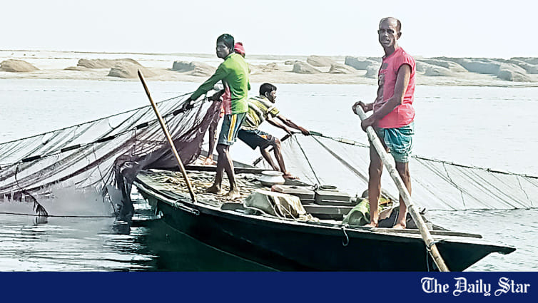 Where have all the fish in Brahmaputra gone? | The Daily Star