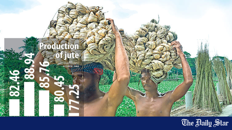 Jute price spiral comes to a halt | The Daily Star