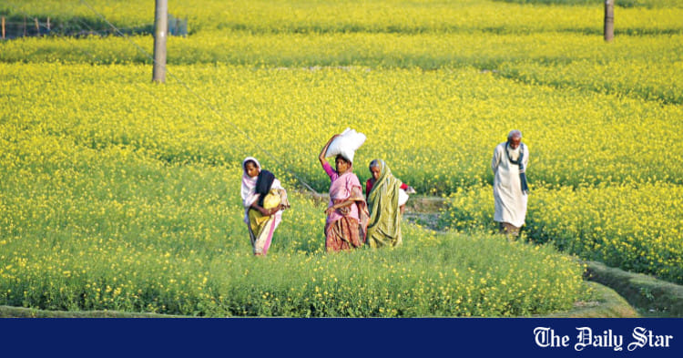 Cash support can help poor in lean season Say experts | The Daily Star