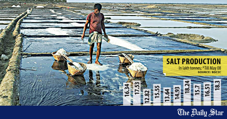 Salt production hits 61-year high | The Daily Star