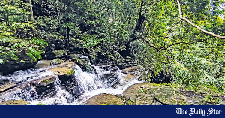 Wild Saingpra the majestic waterfall | The Daily Star