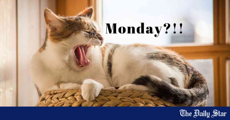 Beating your Monday blues | The Daily Star
