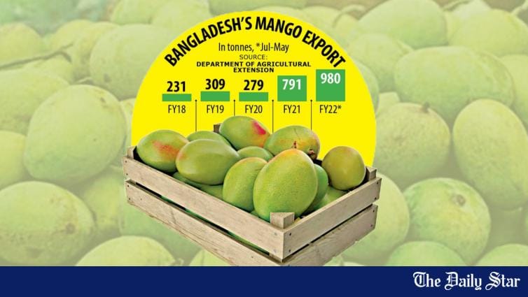 Mango exports hit five-year high | The Daily Star