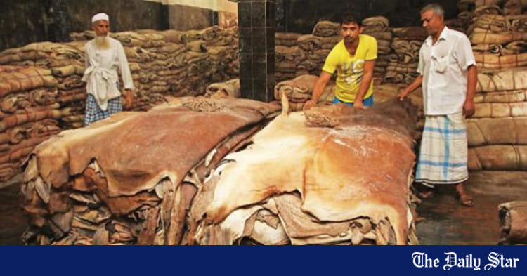 Govt allows rawhide export this year as well | The Daily Star