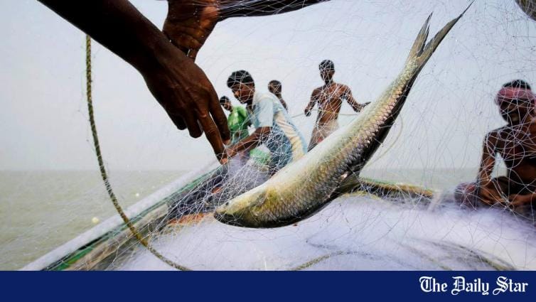 West Bengal should learn how to conserve hilsa and meet demands from ...