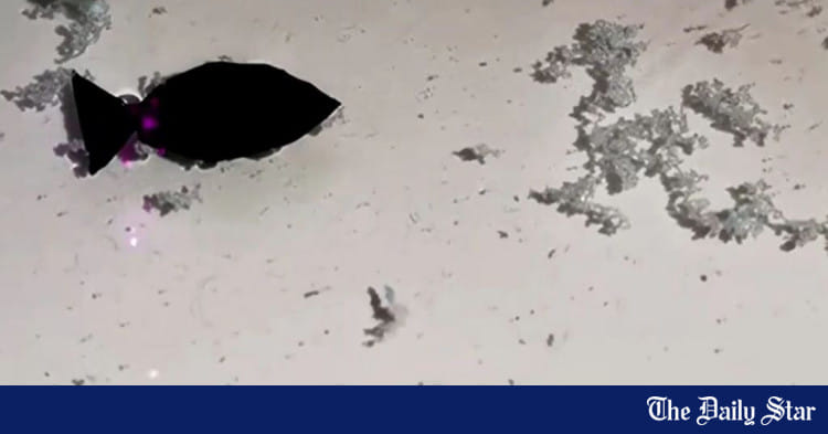 Robot fish that "eat" microplastics developed by Chinese scientists ...