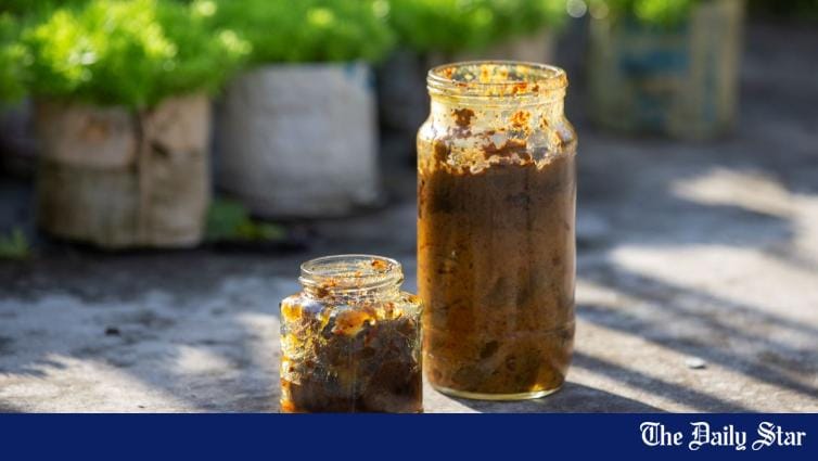 Achaar: A jar of spices, sunshine and love | The Daily Star