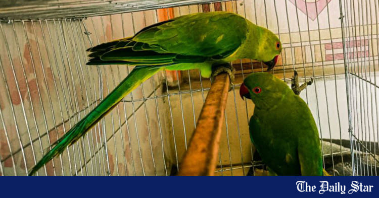 60 rescued wild birds released at National Botanical Garden | The Daily ...