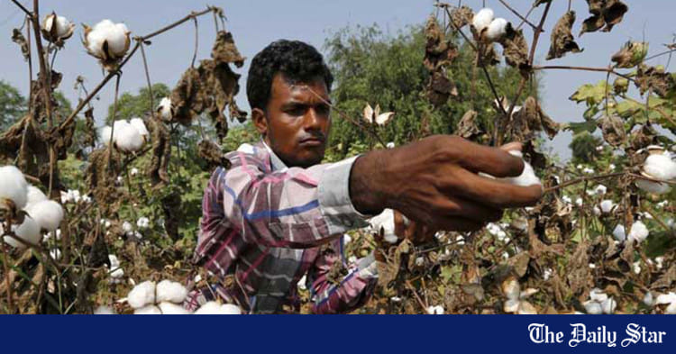 Cotton consumption likely to remain unchanged | The Daily Star
