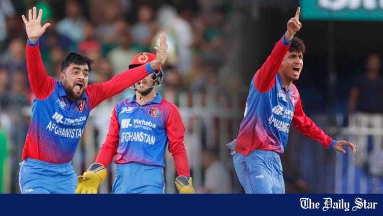 ‘Everyone knows Rashid and Mujeeb are world class spinners’ | The Daily ...