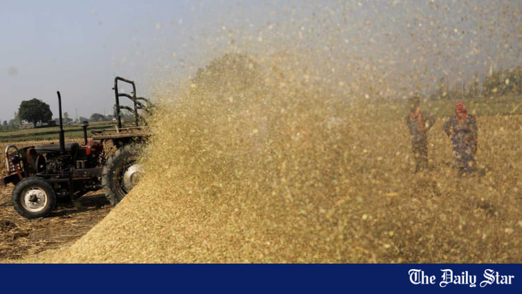 Concerns for Bangladesh: India levies 20% export duty on rice | The ...