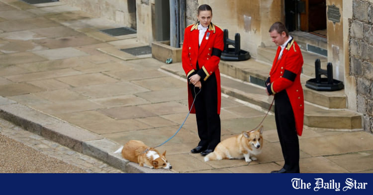 Queen's pet corgis and pony say final goodbye to their owner | The ...