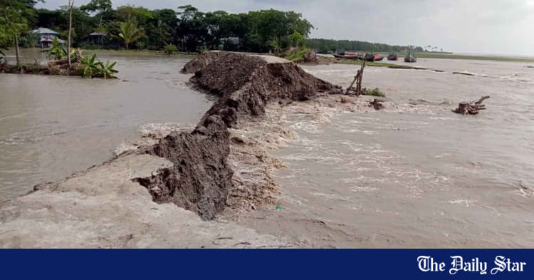 Over 20km of embankments damaged | The Daily Star
