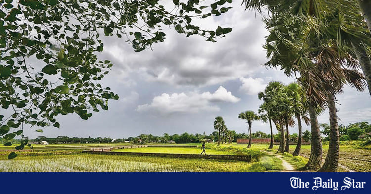 In Memory of Jibanananda Das | The Daily Star