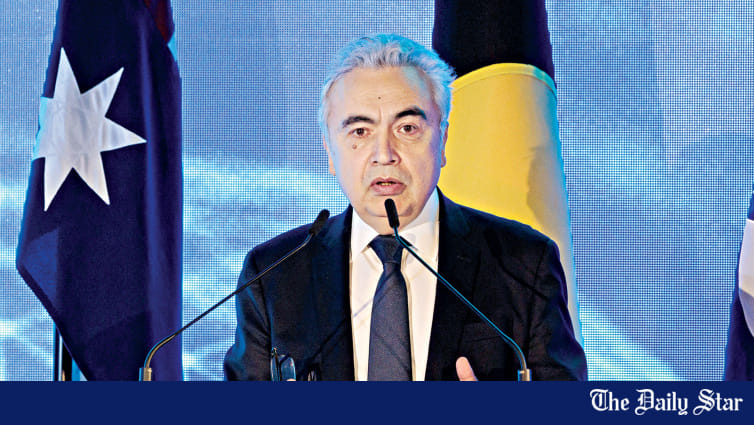 World is in its ‘first truly global energy crisis’: IEA chief | The ...