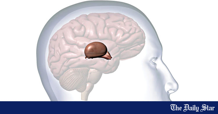 The mystery we overlooked | The Daily Star