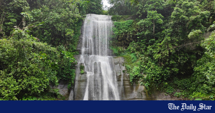 Top 5 places to visit in Sreemangal for a memorable winter | Daily Star