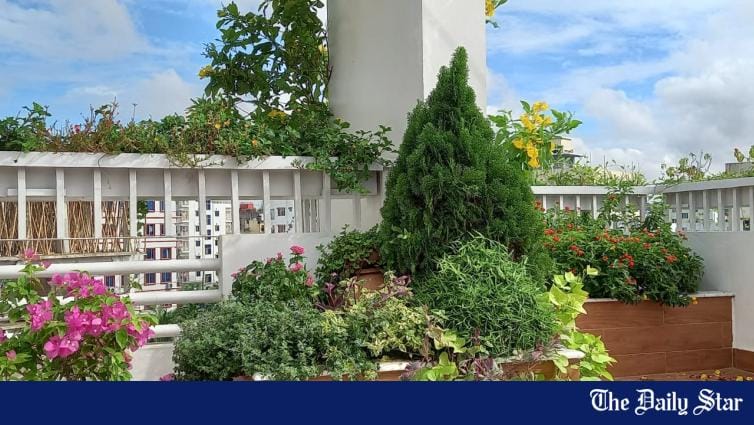 Green Me: Welcoming greenery and sustainability at your doorsteps | The ...