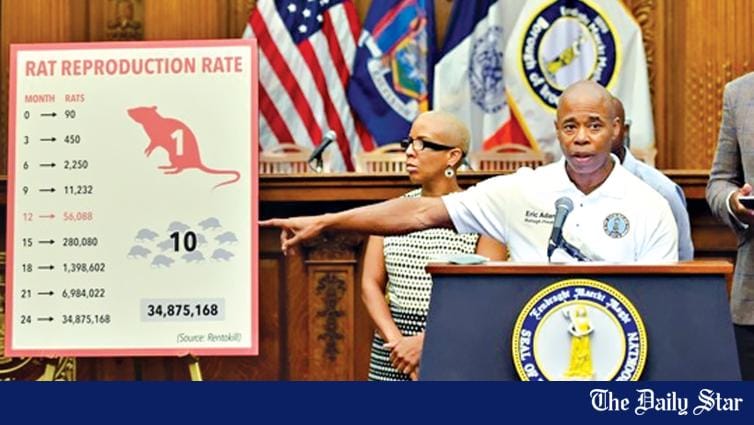 New York seeks ‘bloodthirsty’ rodent czar | The Daily Star