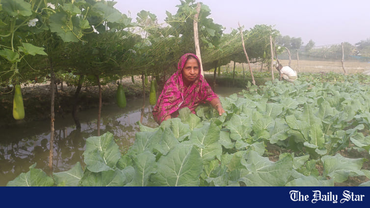 Shefali finds success in chemical-free vegetable farming | The Daily Star